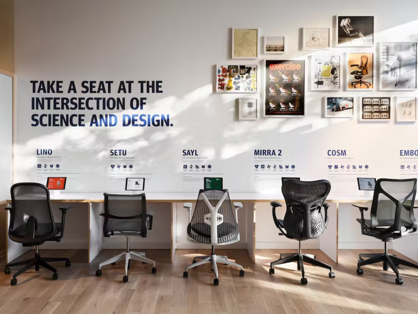 Brand New – Chairman Ergoffice Furniture LLC